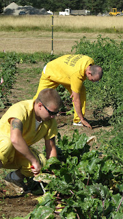 Sandpoint - Its Places & Its People: Bonner County Jail Garden Thrives ...