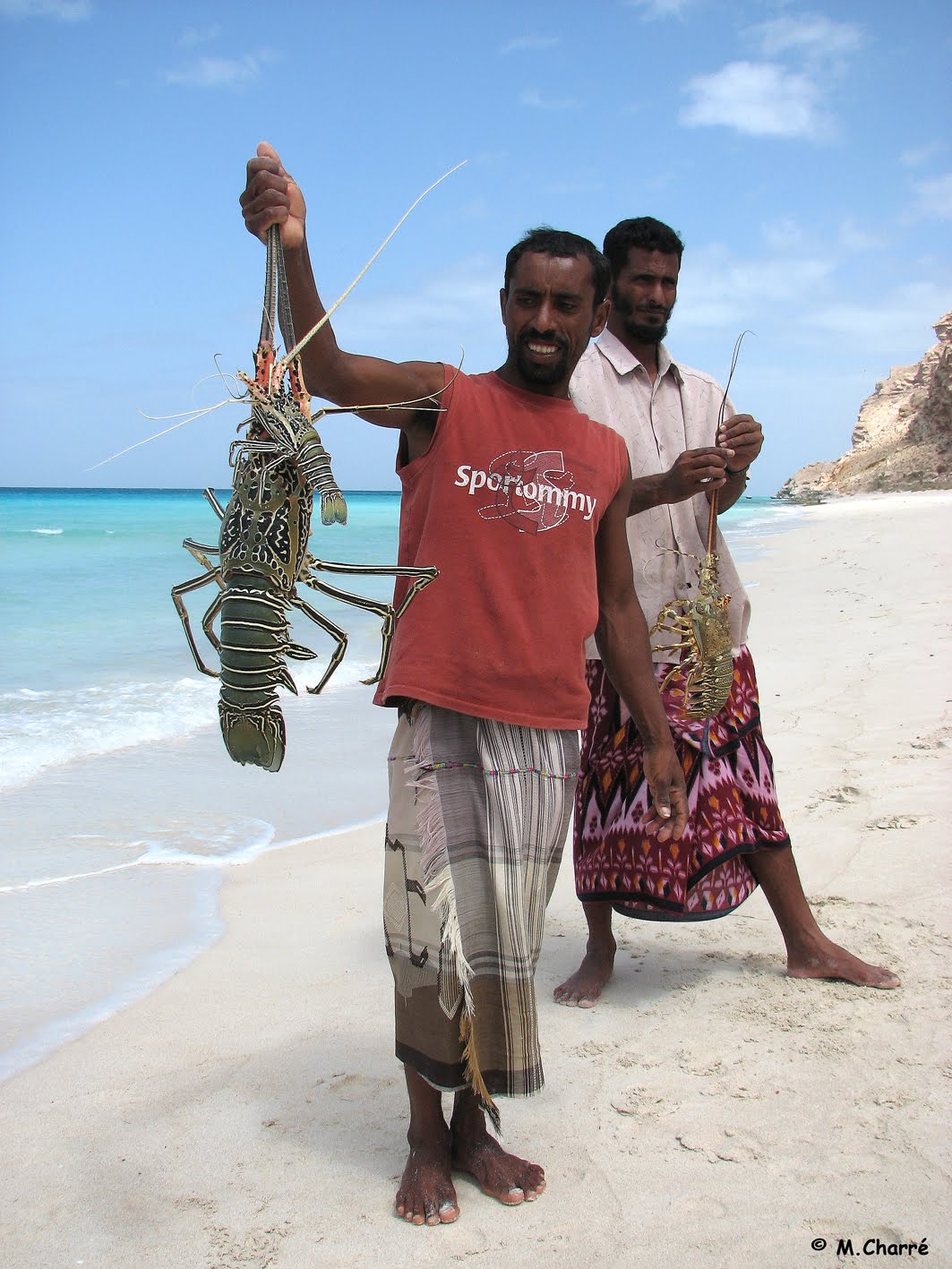 Partir ensemble ailleurs: ÎLE DE SOCOTRA