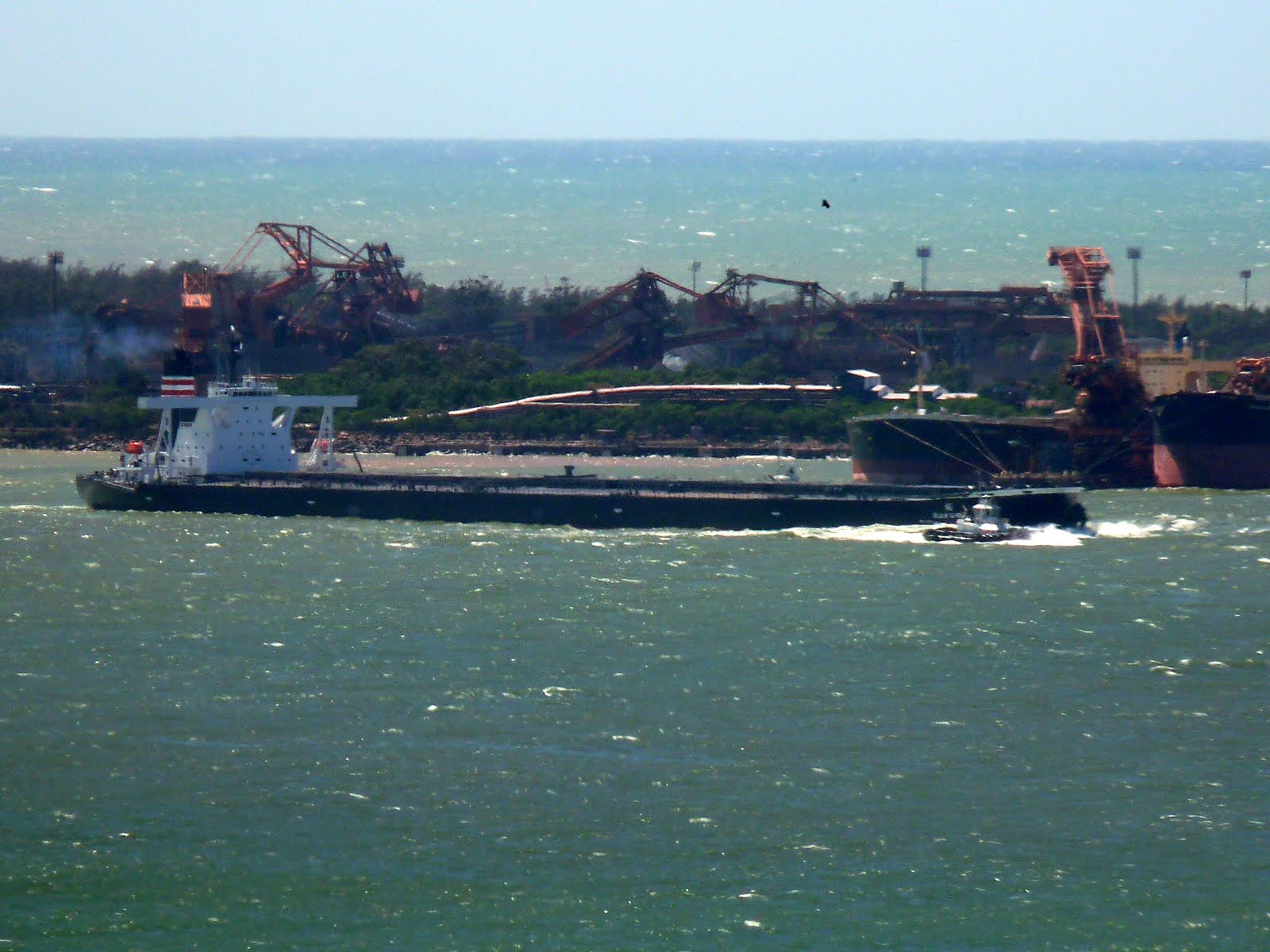 Ships calls Vitoria: New and Bigger M/V Sakura