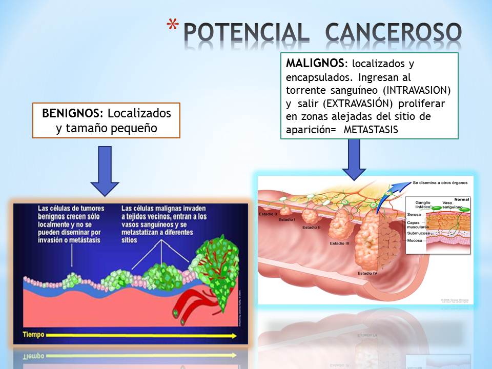 BIOLOGÍA CELULAR: RESUMEN Y PRESENTACIÓN: CÁNCER