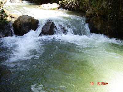 Felidia: Rio Felidia