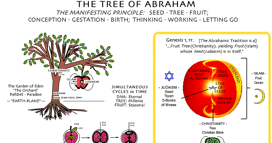 Meru Foundation research: The Tree of Abraham