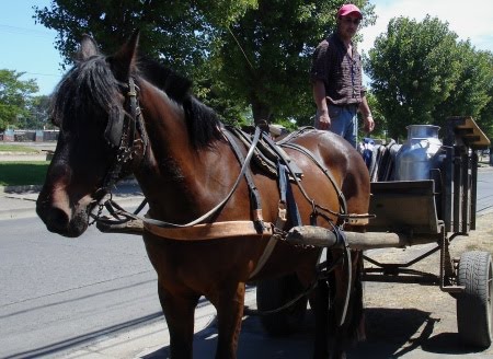 F E N A T R A L: El Lechero