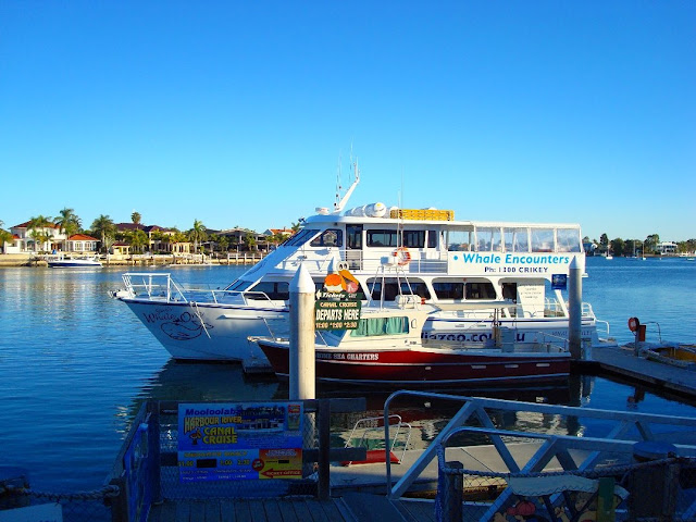 Davos: Mooloolaba harbour cruises