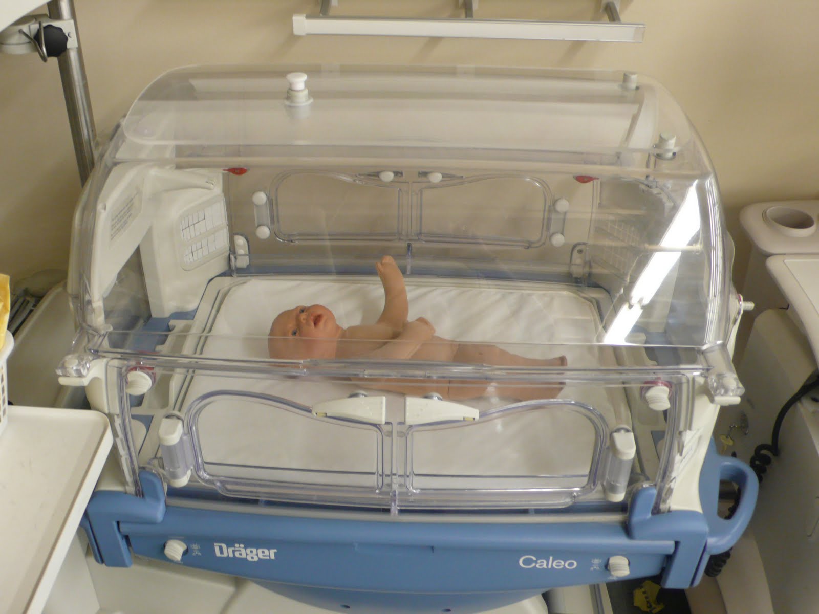 Banjos & Beer: Fake Babies don't look real!