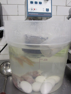 BitterSweet Critique: I love sous vide meat!