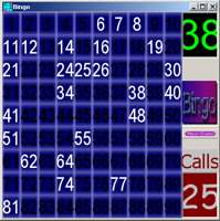 Types of Bingo Games: Bingo Rules