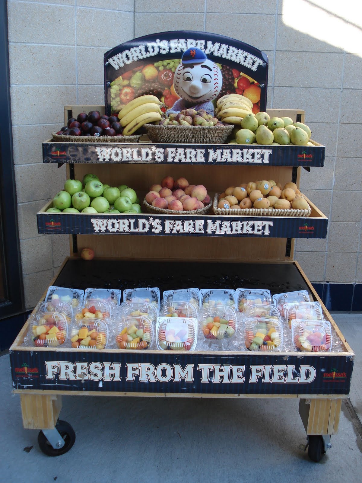 Summer of Matt: The X Factor