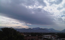 Coronilla Gro.: Presa Vicente Guerrero, Arcelia