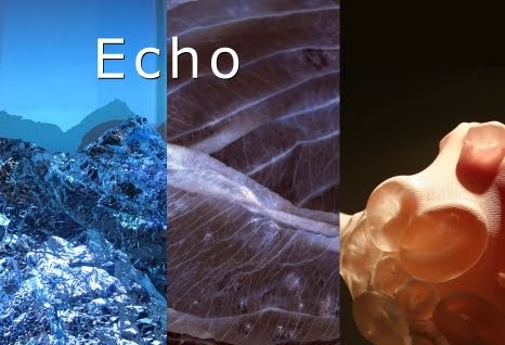 itlookslikeitsopen: Echo at the Kuhn Fine Arts Gallery