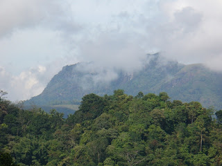 Natural beauty of sri lanka: Yatiyantota to Seaforth Colony Road ...