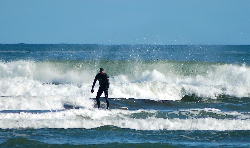 Cape Ann Images: From August to November