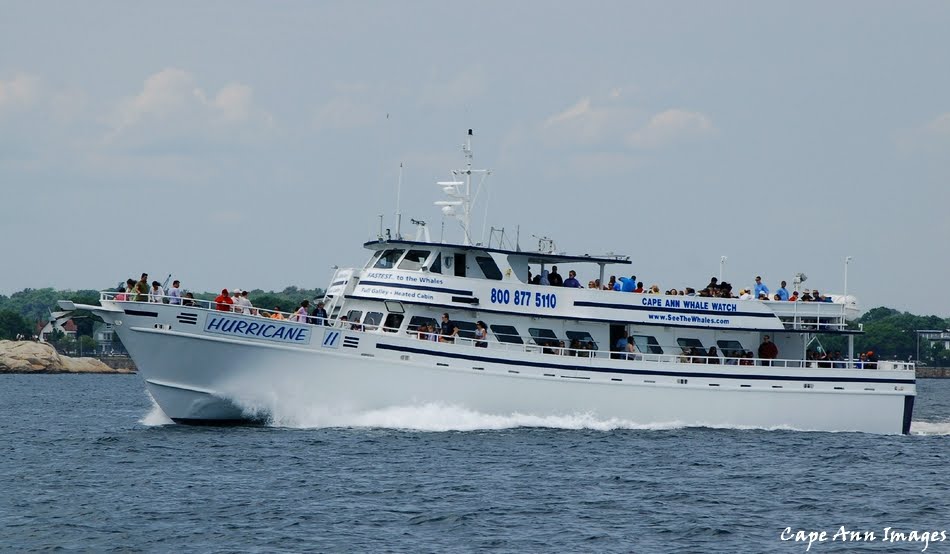 Cape Ann Images: Harbor Activity Picks Up