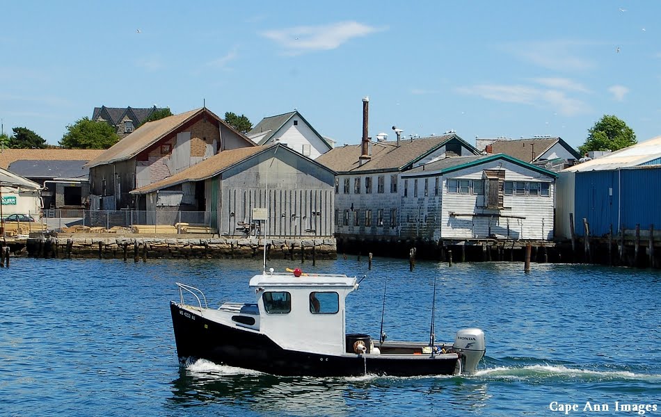 Cape Ann Images: Extremes