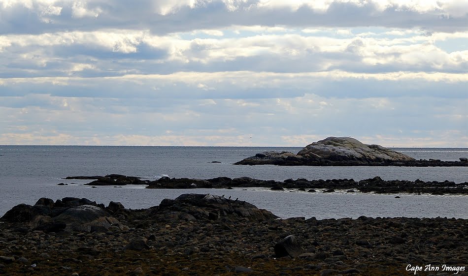 Cape Ann Images: Changing Colors...Changing Weather