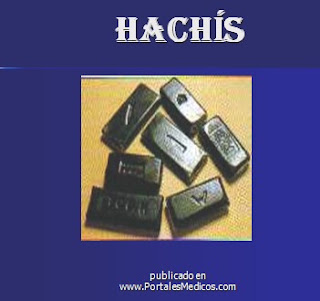 MUNDO CURIOSITYS: SUPERCURSO DE ACTUALIZACION EN MARIHUANA.