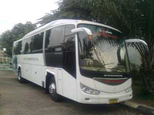 BUS PARIWISATA DBL TRANSPORT DHARMA BUDHI LESTARI: Armada Kami