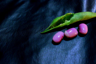 FushaPhotography: ayocotes (la madre tierra)