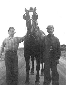 Farm Memories: John Thompson Farm