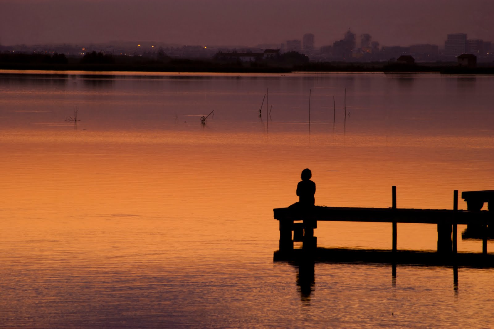 Cereza Roquera: Atardecer