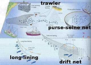 EatFishLa: Fishing Methods