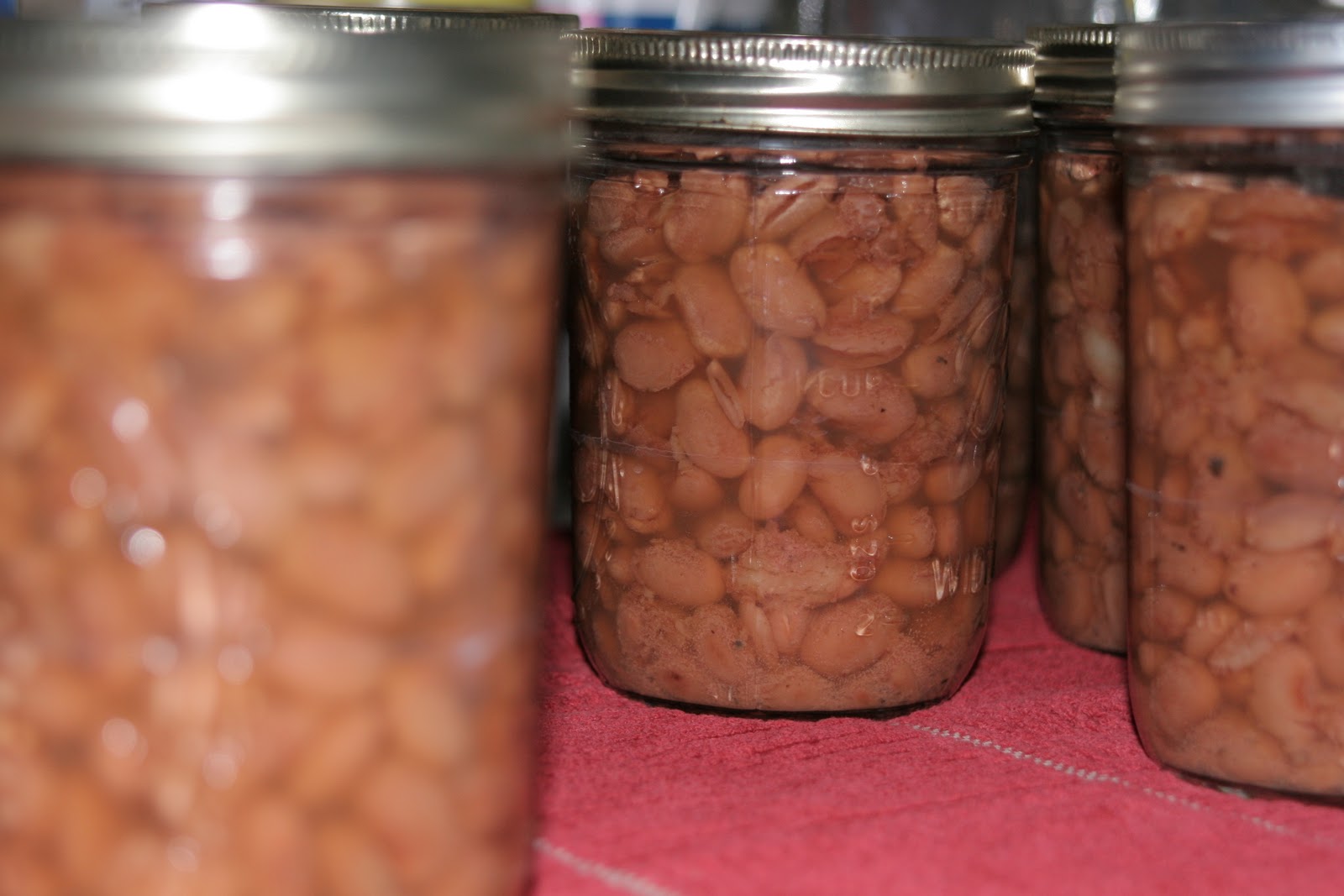 Canning Kidney Beans Pressure Cooker at Marion Akers blog
