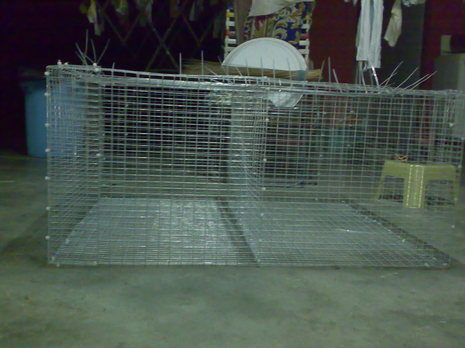 Bukit Bangkong Rabbitry: Sangkar Arnab