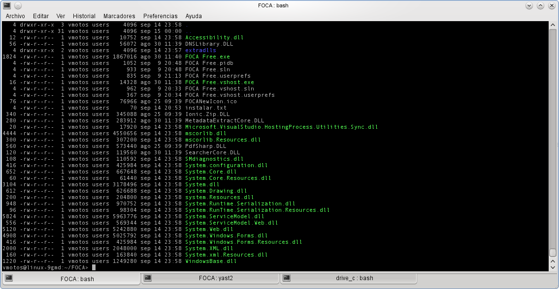 La FOCA en Linux [2 de 2]