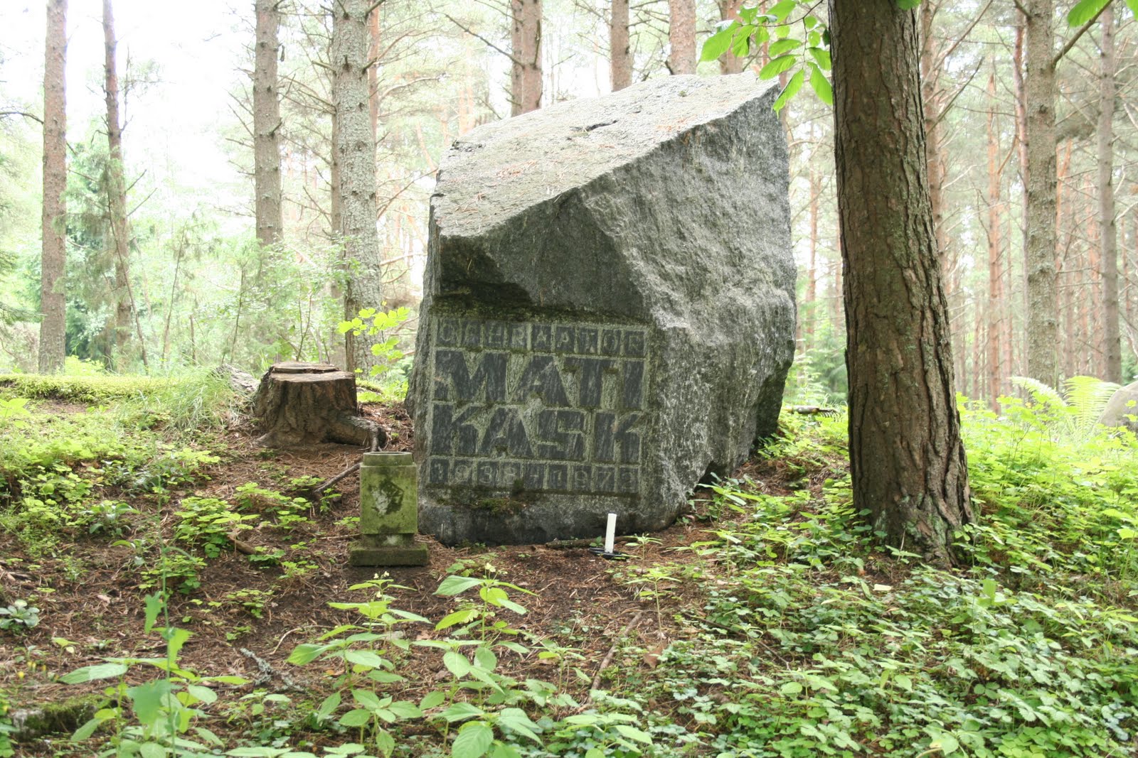 tuleb: kultuurilooline jalutuskäik Pärnamäel