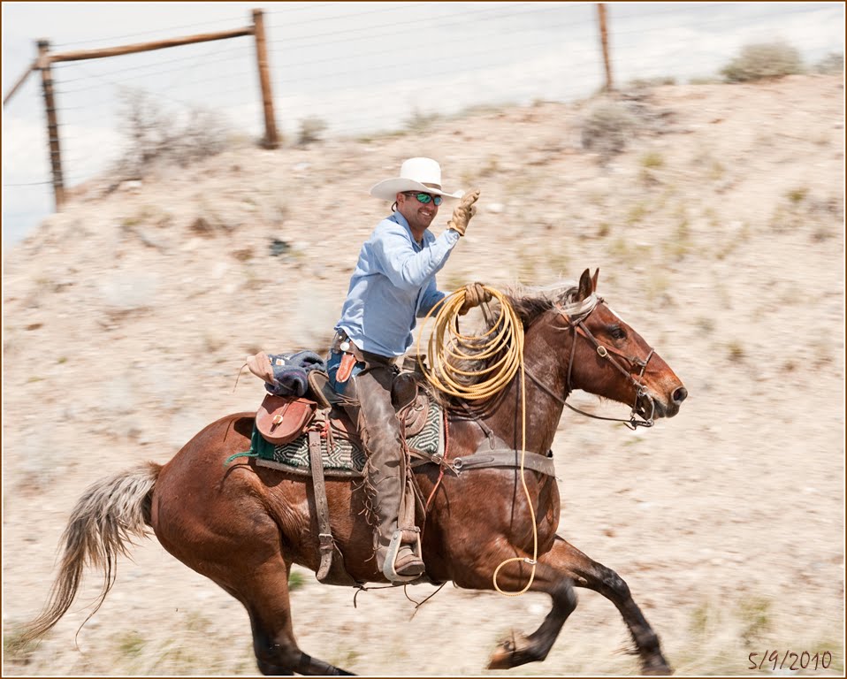 Captain Ken's Voyages: Cattle Drive in Wyoming