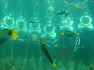 Fourtyfied: Sea Walking