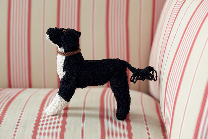 European Chic: Design your own dog