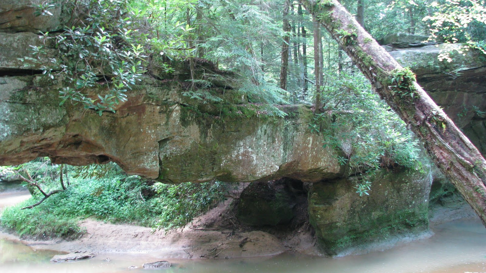 PL Fallin Photography: Creation Falls at Red River Gorge