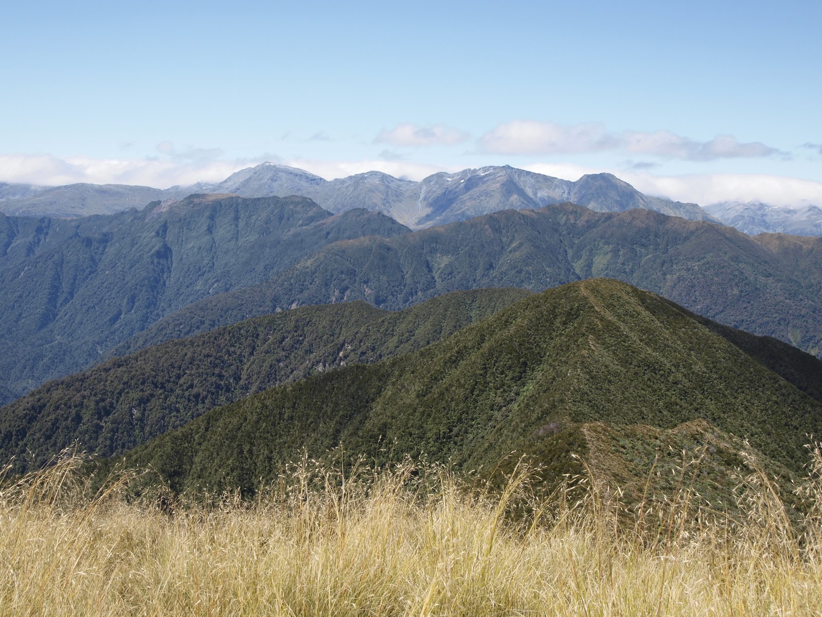 Madlen auf Reisen: Mount Tuhua