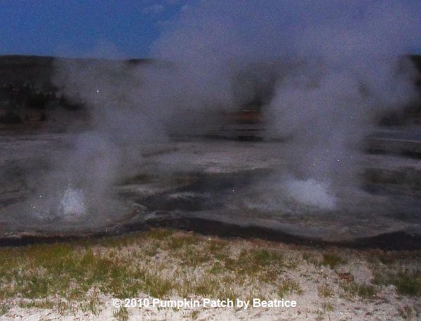 Pumpkin Patch: Der letzte Tag in Yellowstone