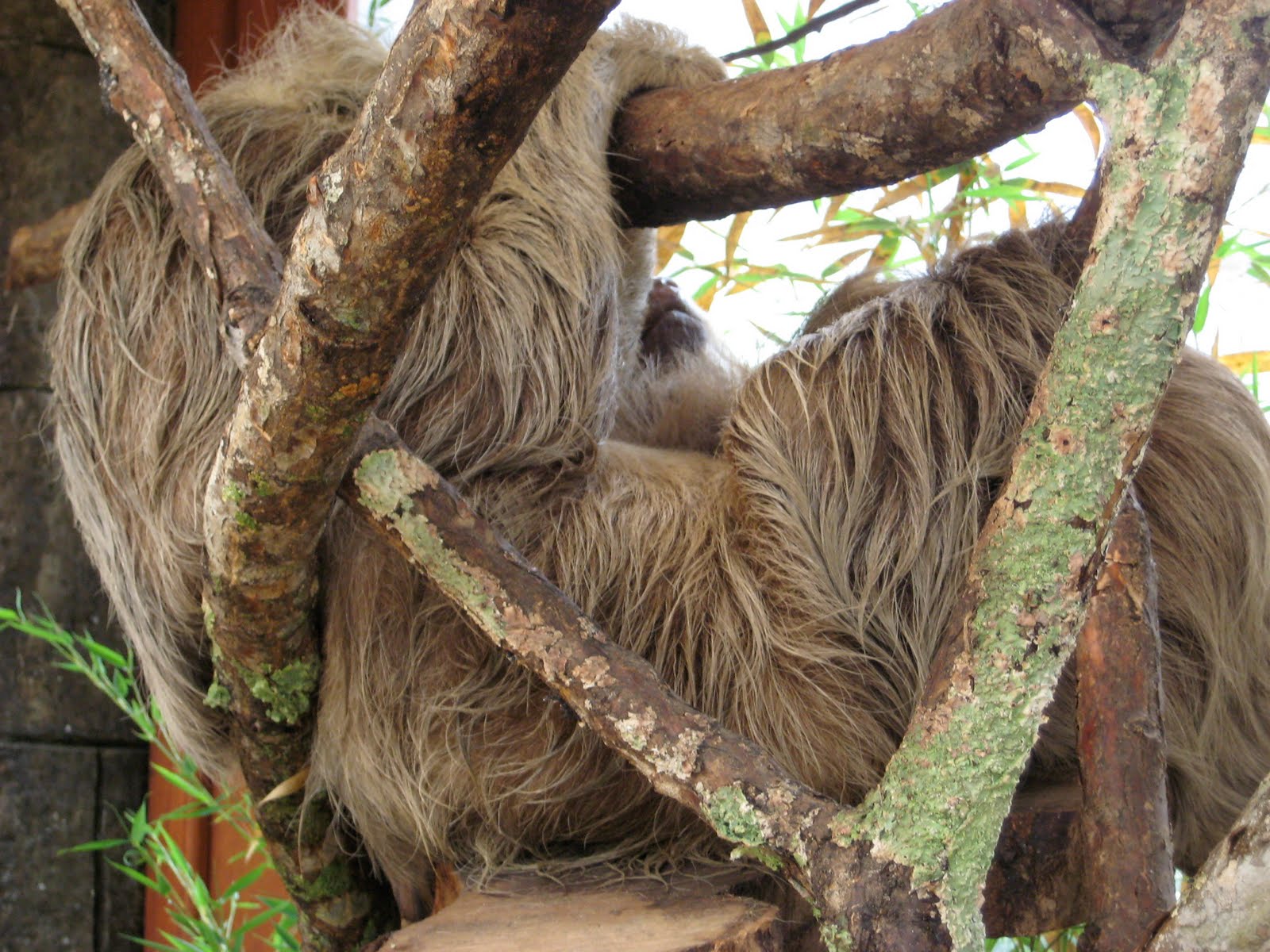 stella bella: April 2010