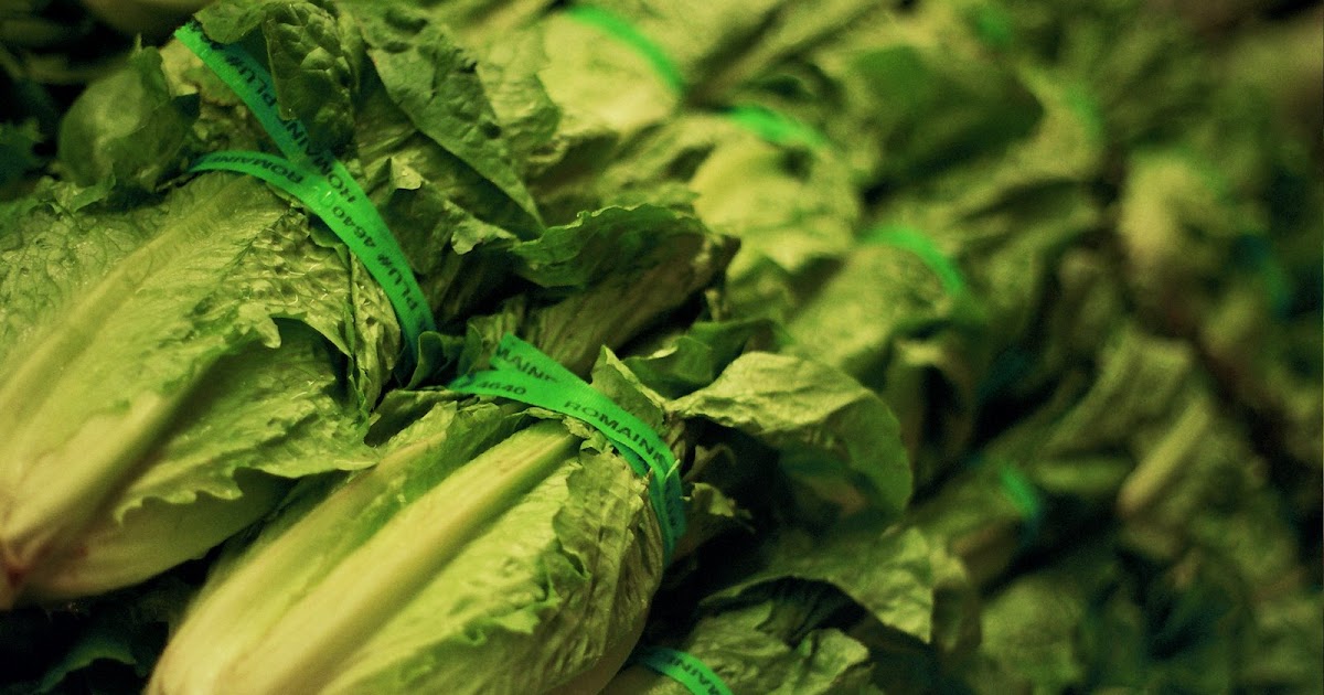 Diary of a Locavore: The Local Food Report: Lettuce Learn