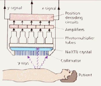 Marks Melon: 11/30/08 - 12/7/08