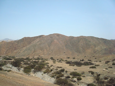 MONZONITA GRANODIORITA