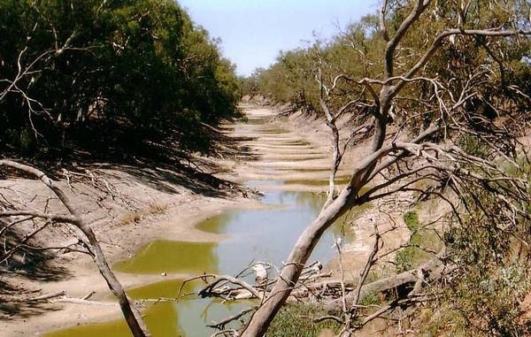 French Vocabulary Illustrated: tarir