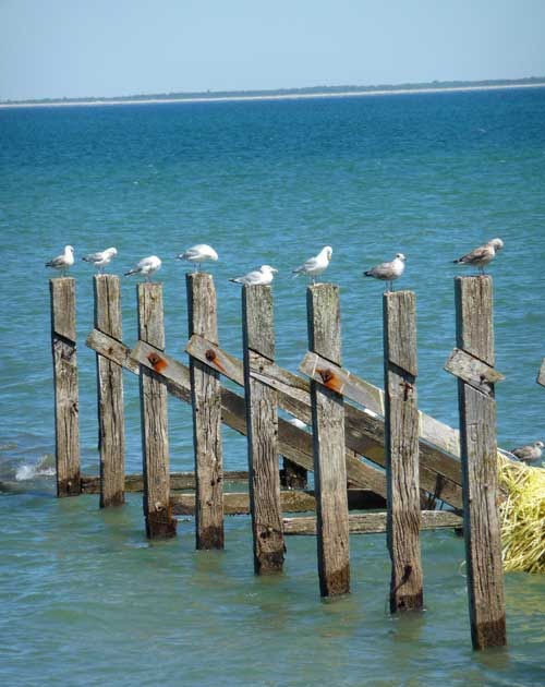 French Vocabulary Illustrated: poteau