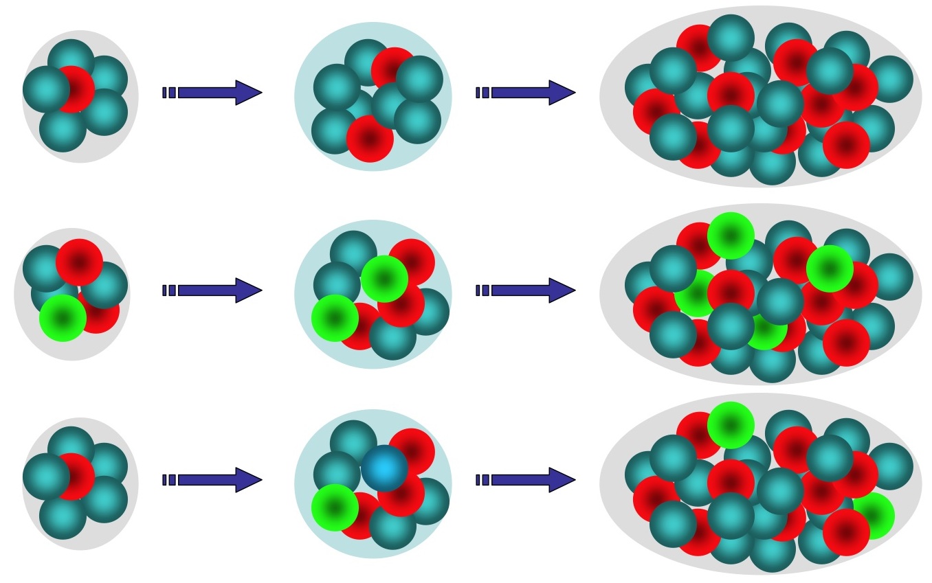French Vocabulary Illustrated: pulluler