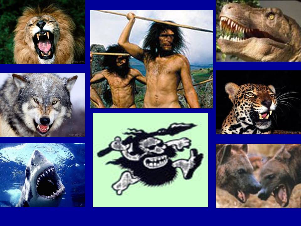 Famous vegetarians and famous meat-eaters - AnimalCare