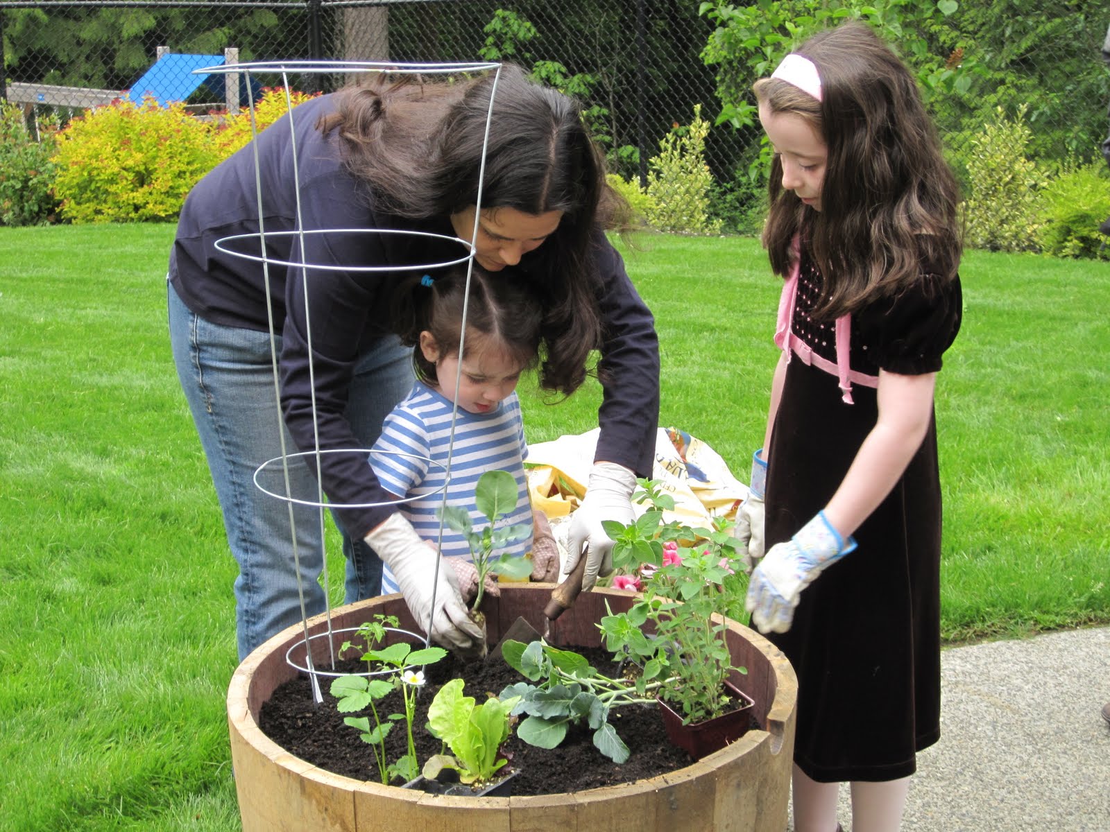 Pea Patch Gardens