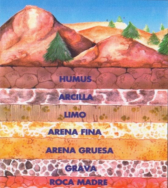 analisis de suelos: CAPAS DEL SUELO