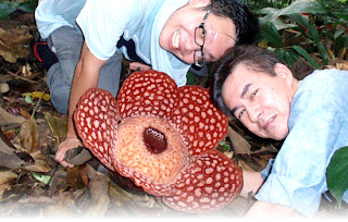 malaysia 旅游胜地