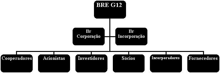GBRE S.A ®: Organograma / GBRE S/A.