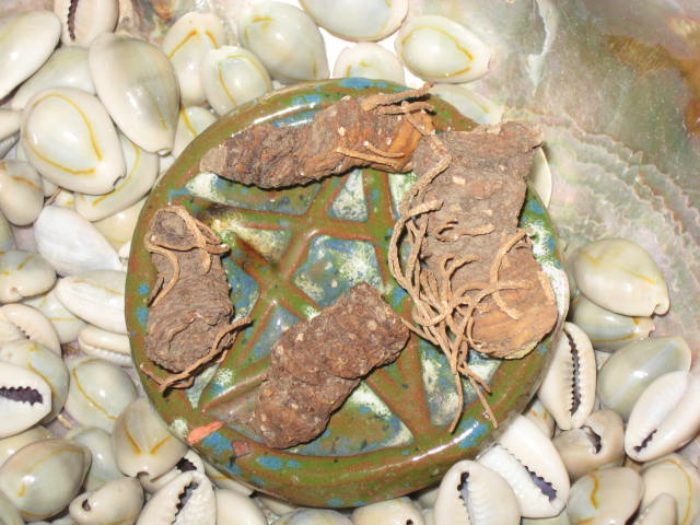 Conjured Cardea: 2010