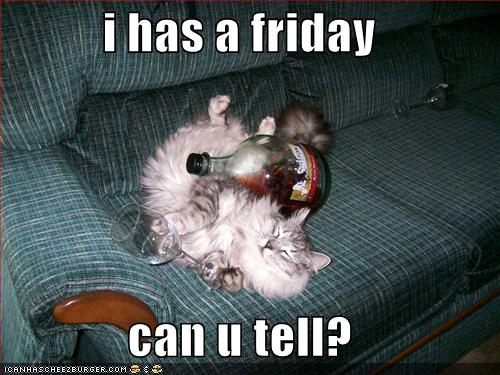 Thinking Pink: Top Five LOL Cats of the Day