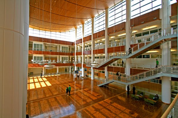 Anonymous Photography: UIUC BIF | Pelli